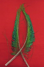 マテリアル-ピーコックアイ他